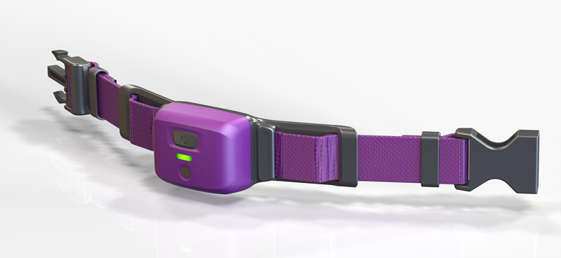 Caring for Pets: Save Time and Keep Pets Happy With IoT Devices